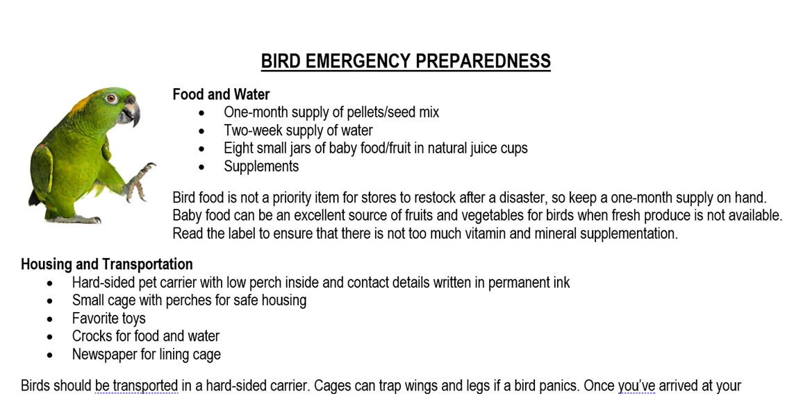 Emergency Preparedness – Tiffani Hill LLC