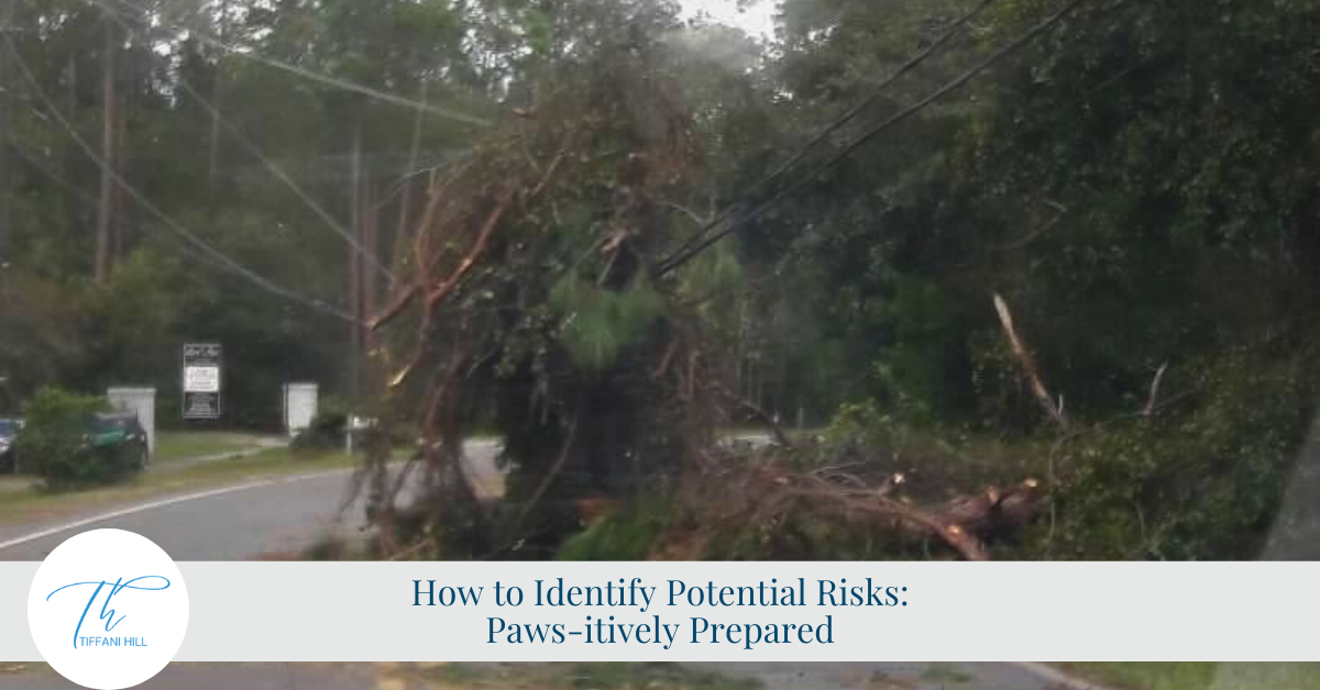 How to Identify Potential Risks: Paws-itively Prepared – Tiffani Hill LLC